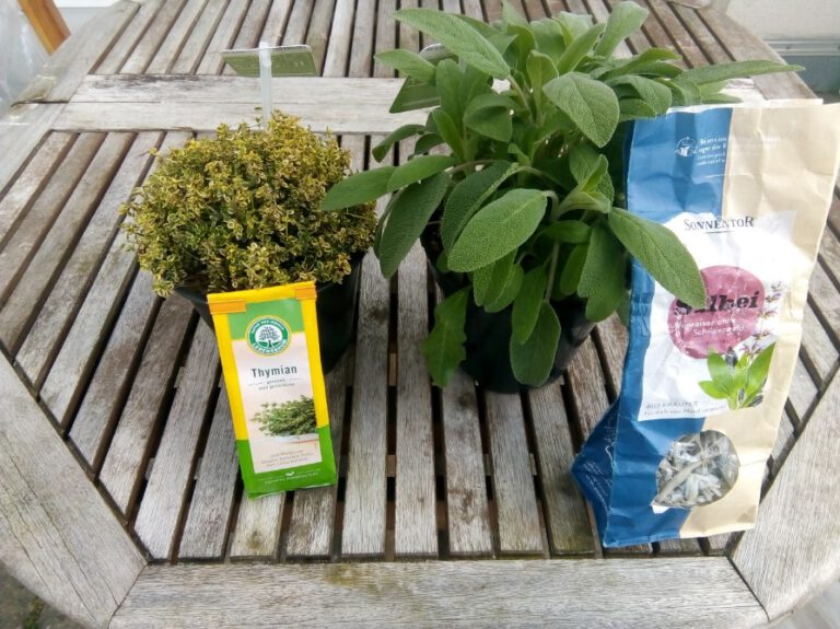 Leckere Kräuterbonbons – mit Salbei oder Thymian ganz fix selbst ...